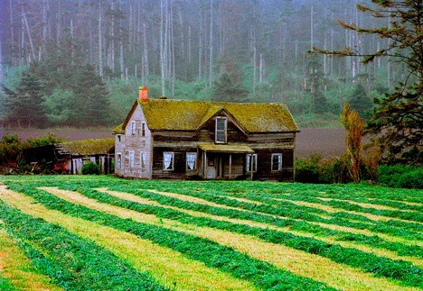 Public votes to preserve Ferry House at Ebey's Landing | Whidbey News-Times