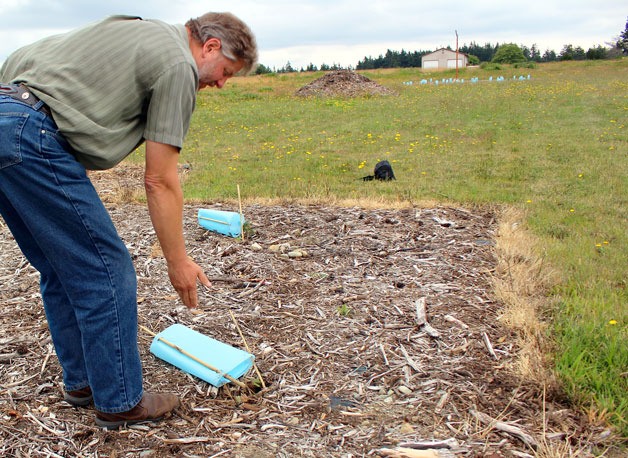 ATV damage to Centennial Grove cuts deep for volunteers, donors ...