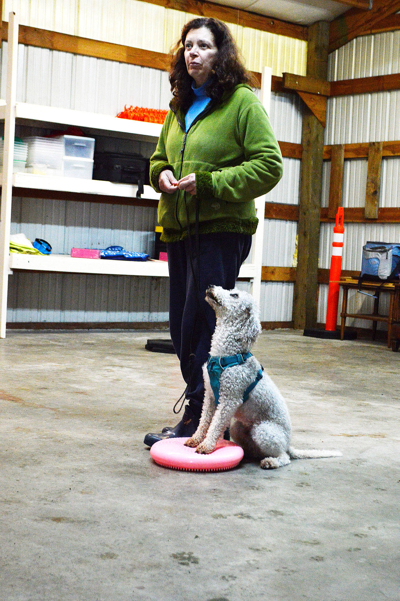 ‘Sampler class’ keeps dogs active, happy | Whidbey News-Times