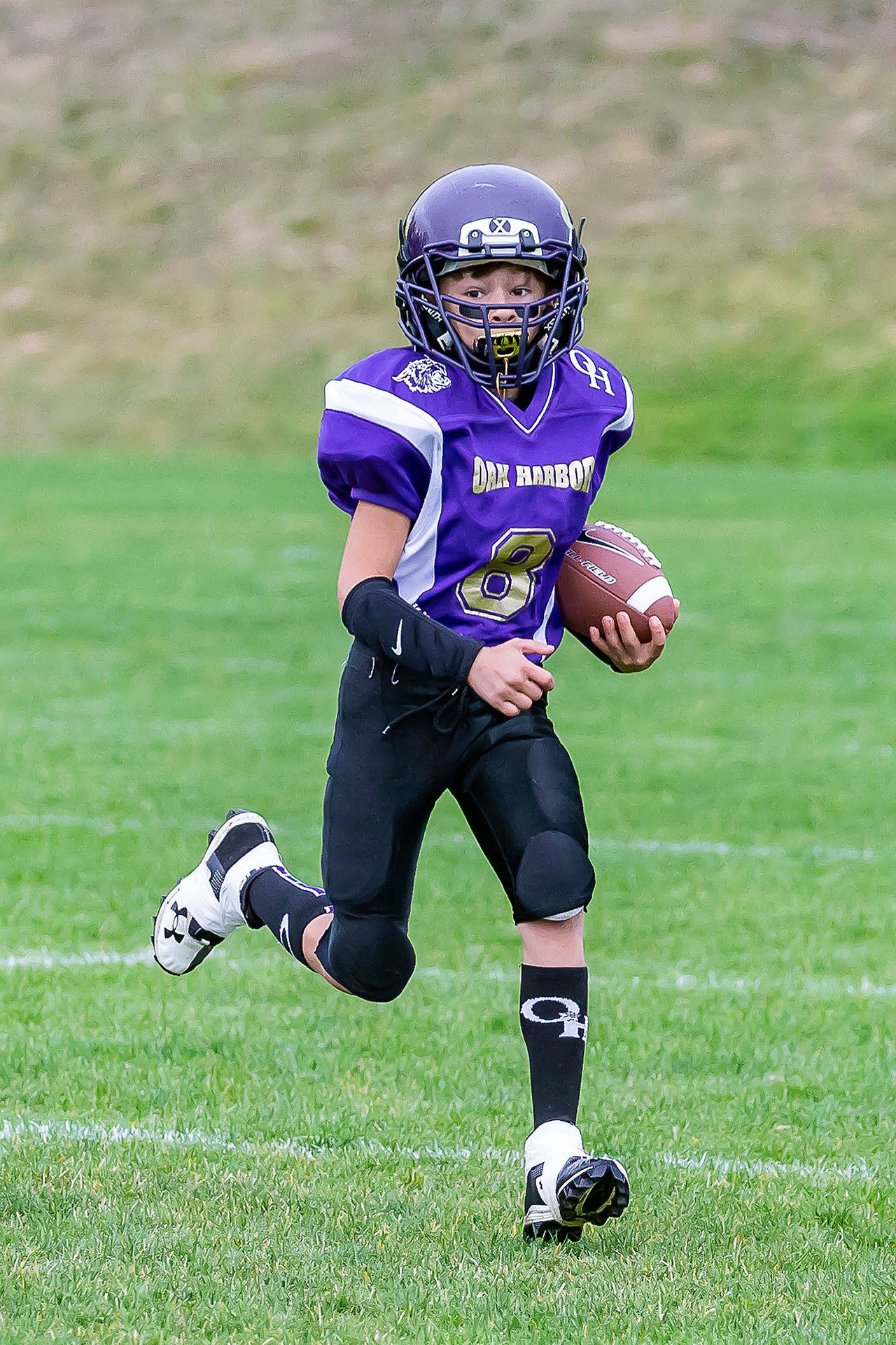 Photos: Young Wildcats compete on the gridiron / Youth football ...
