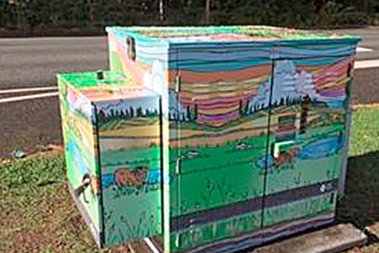 PSE transformers are transformed into works of art | Whidbey News-Times
