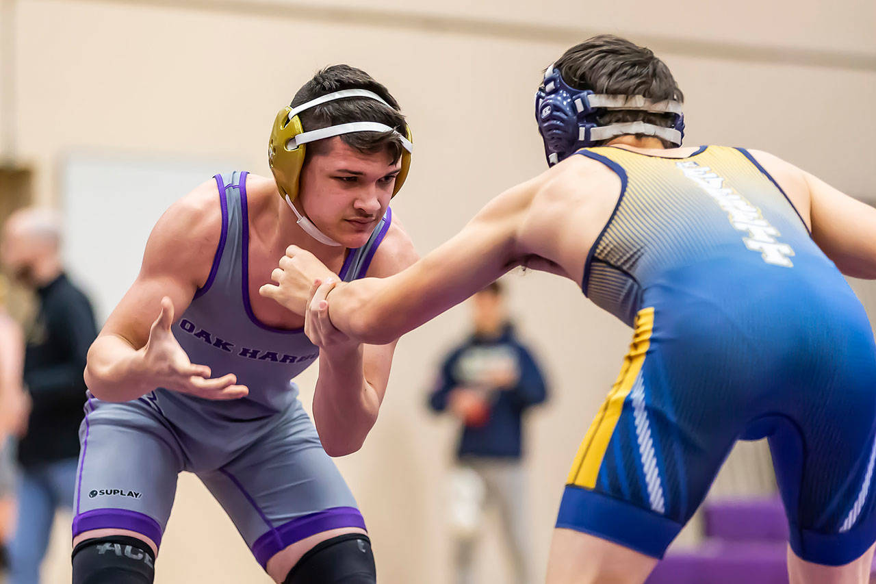 Oak Harbor falls in double-dual / Boys wrestling | Whidbey News-Times