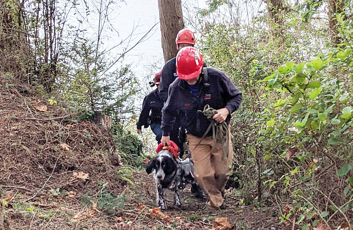Rescuers pluck dog from side of steep bank | Whidbey News-Times