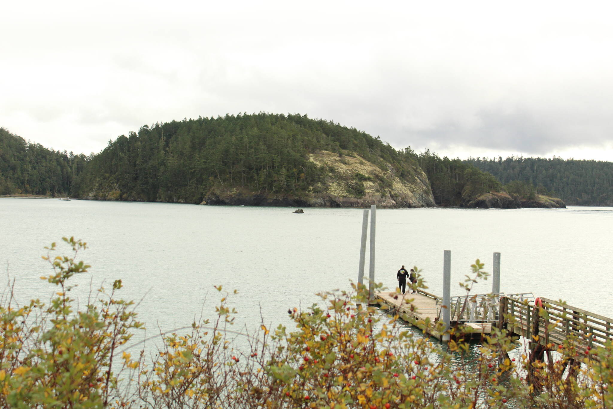 Discover Passes now available for checkout at Sno-Isle Libraries ...