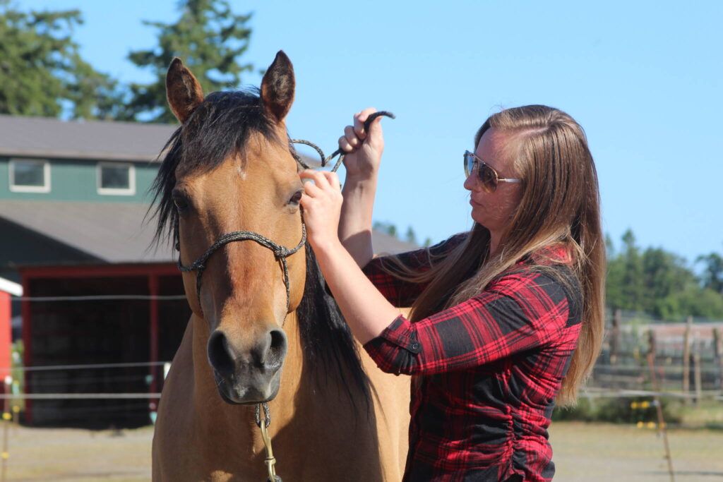 Coupeville ranch launches hippotherapy services | Whidbey News-Times