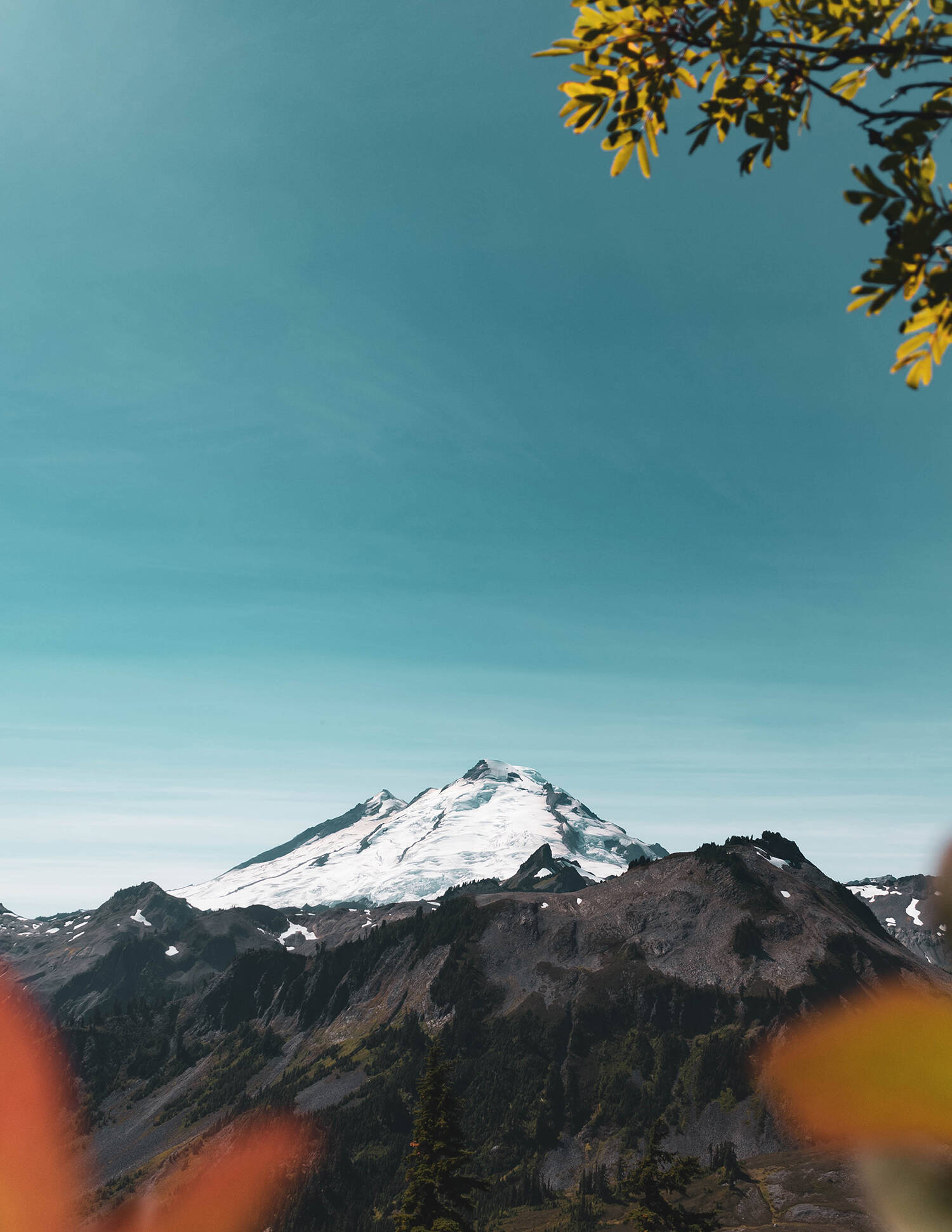 Student photography on display at library | Whidbey News-Times