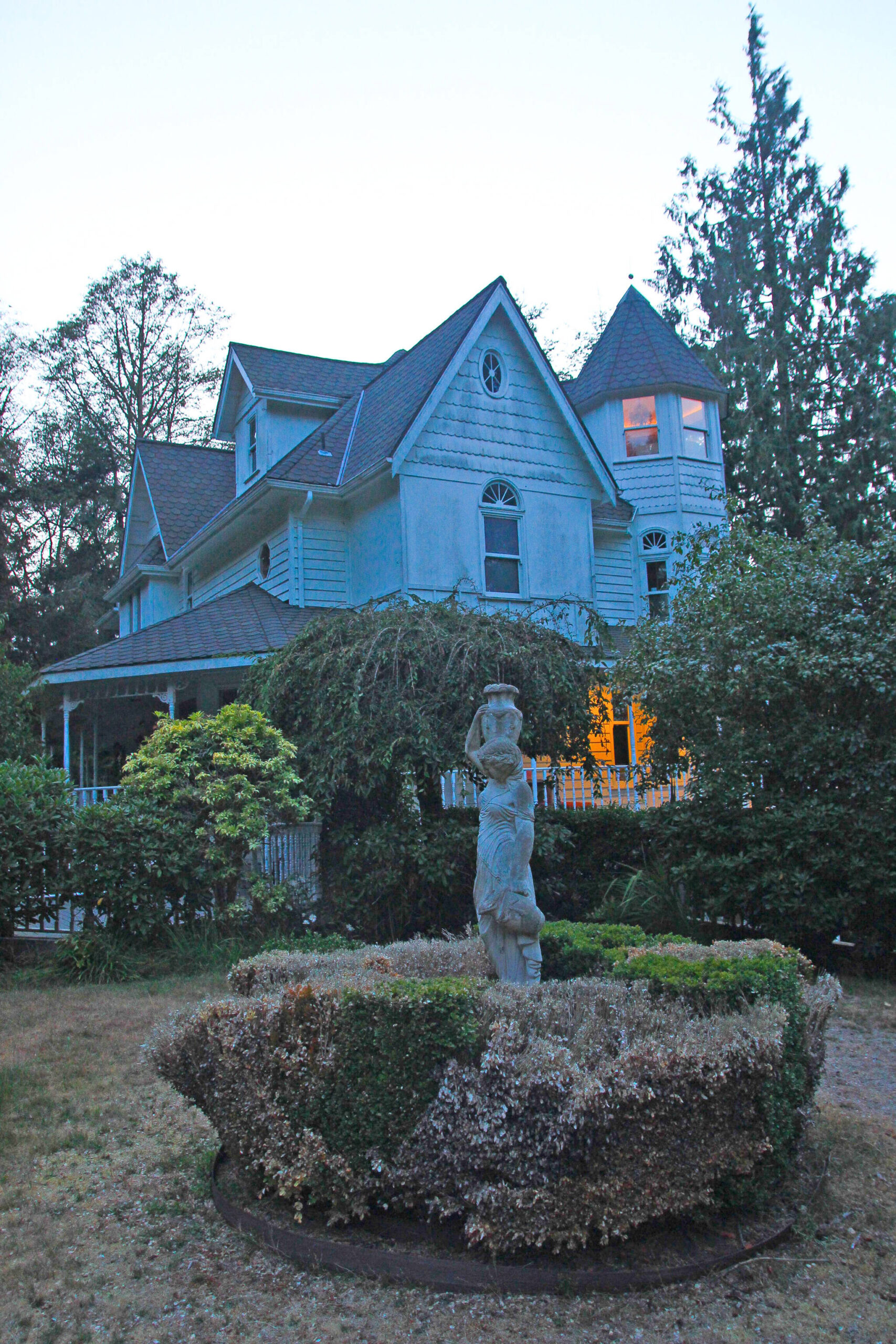 Family of three finds 1,000 bats in their new home | Whidbey News-Times