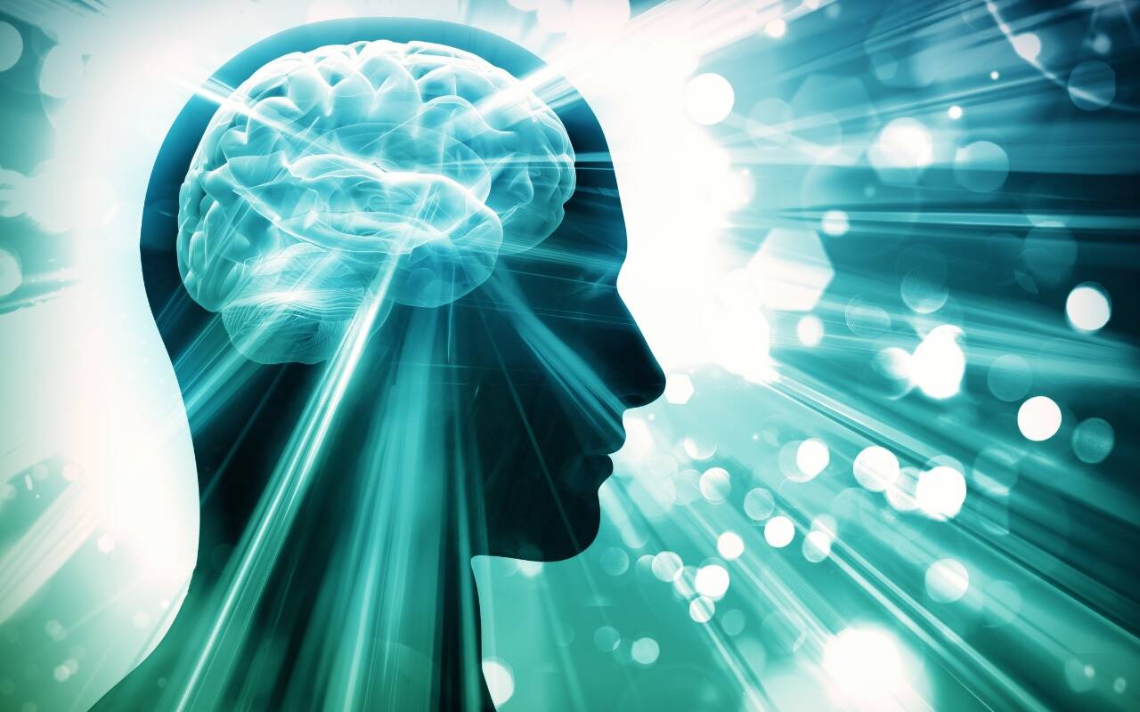 Genius Mind Code Review: Does It Deliver on Its Promise of Wealth ...