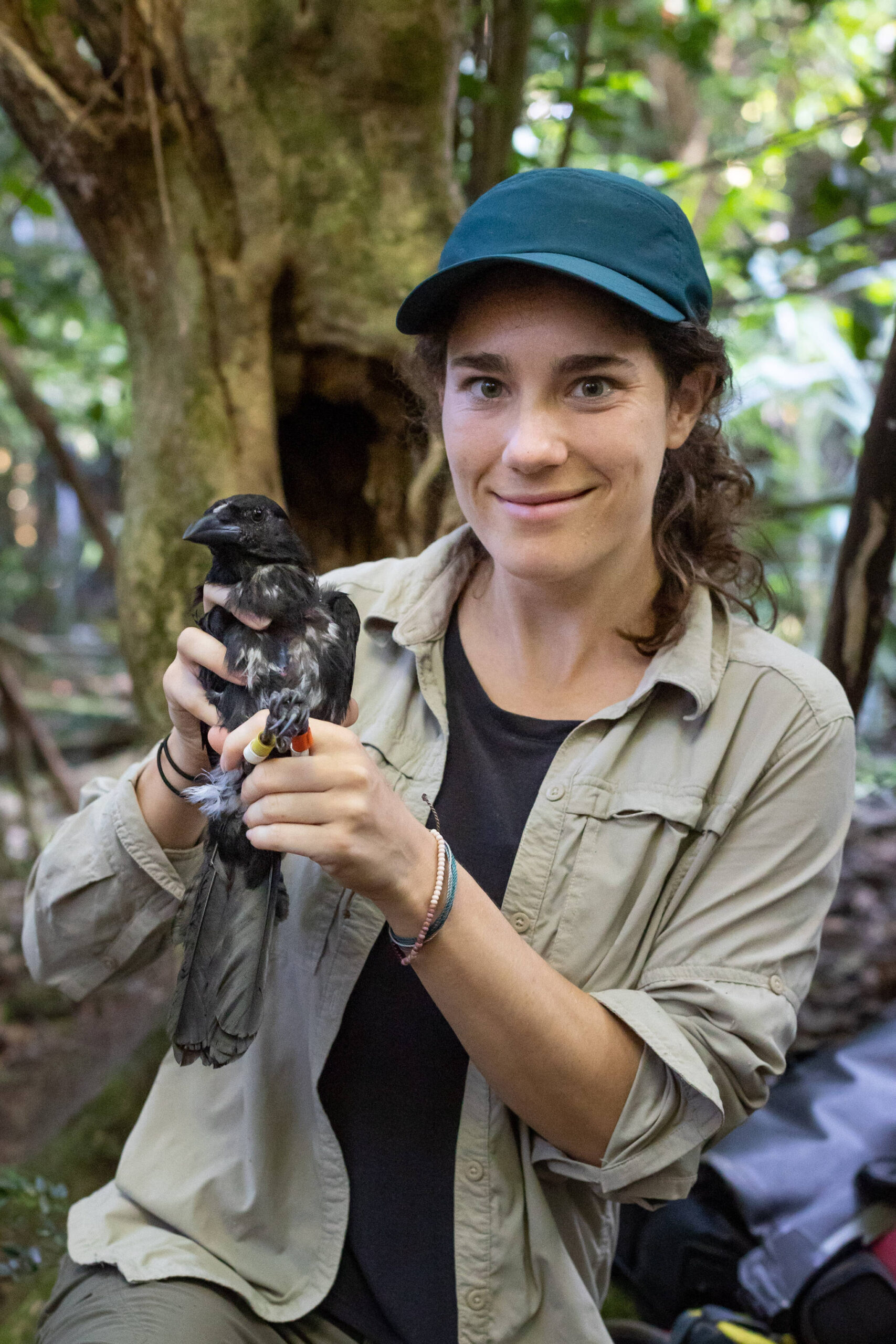 Exploring the deep connections of corvids and humans | Whidbey News-Times