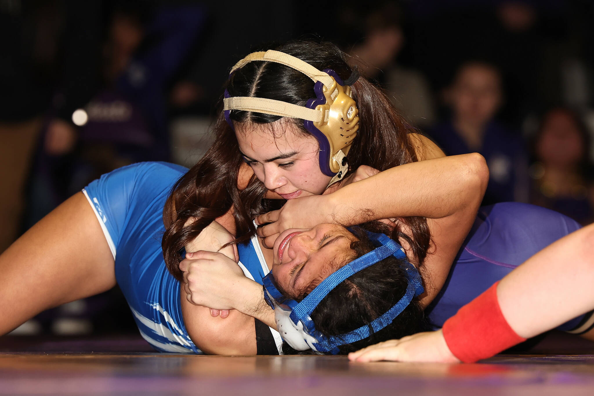 Wildcat girls wrestlers in midst of strong season | Whidbey News-Times