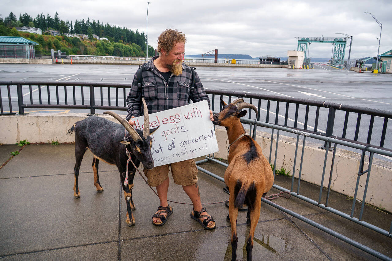 Itinerant goat man attracts fans | Whidbey News-Times