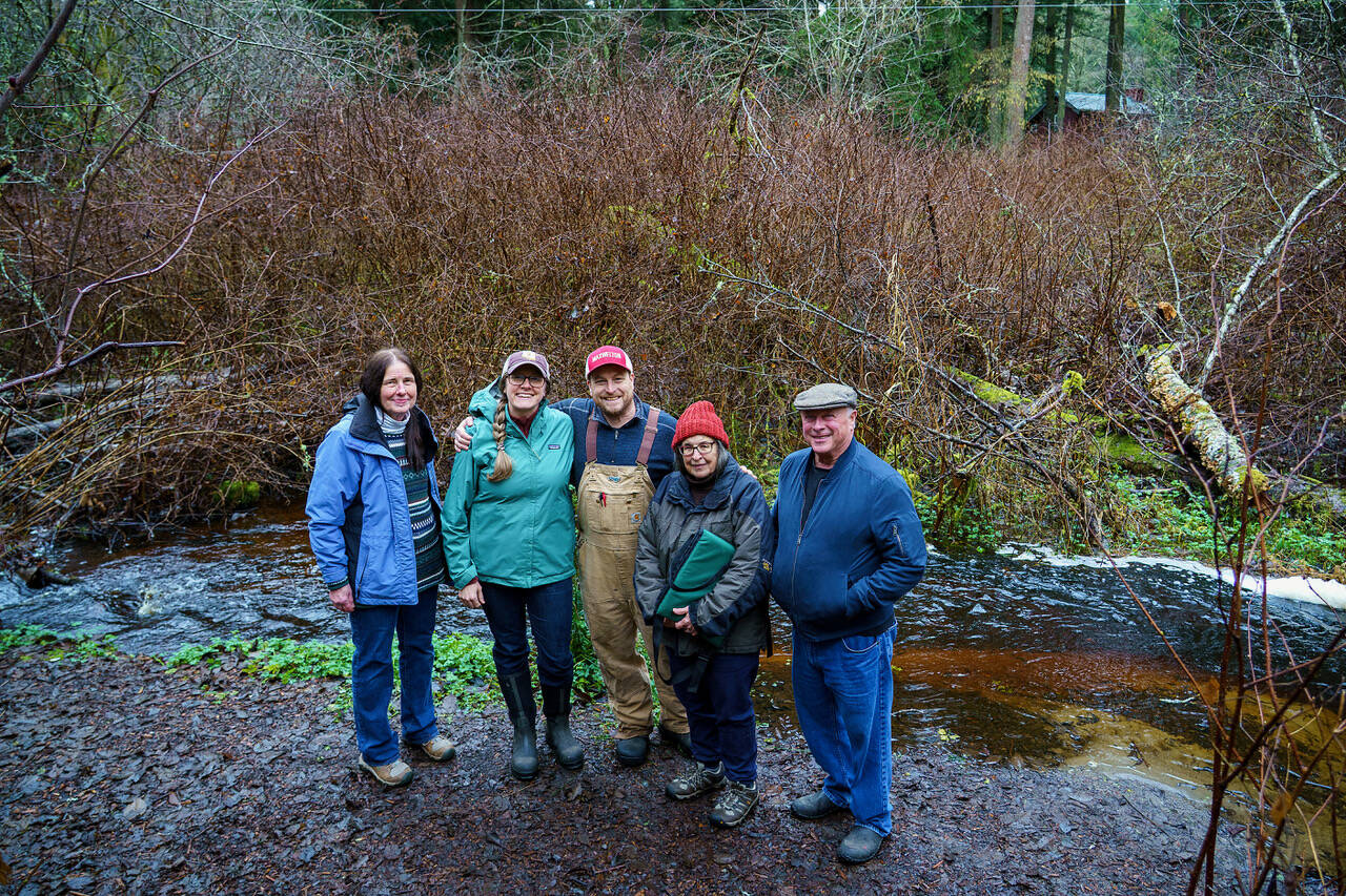 Just keep swimming: Single salmon makes a splash in Maxwelton Creek ...