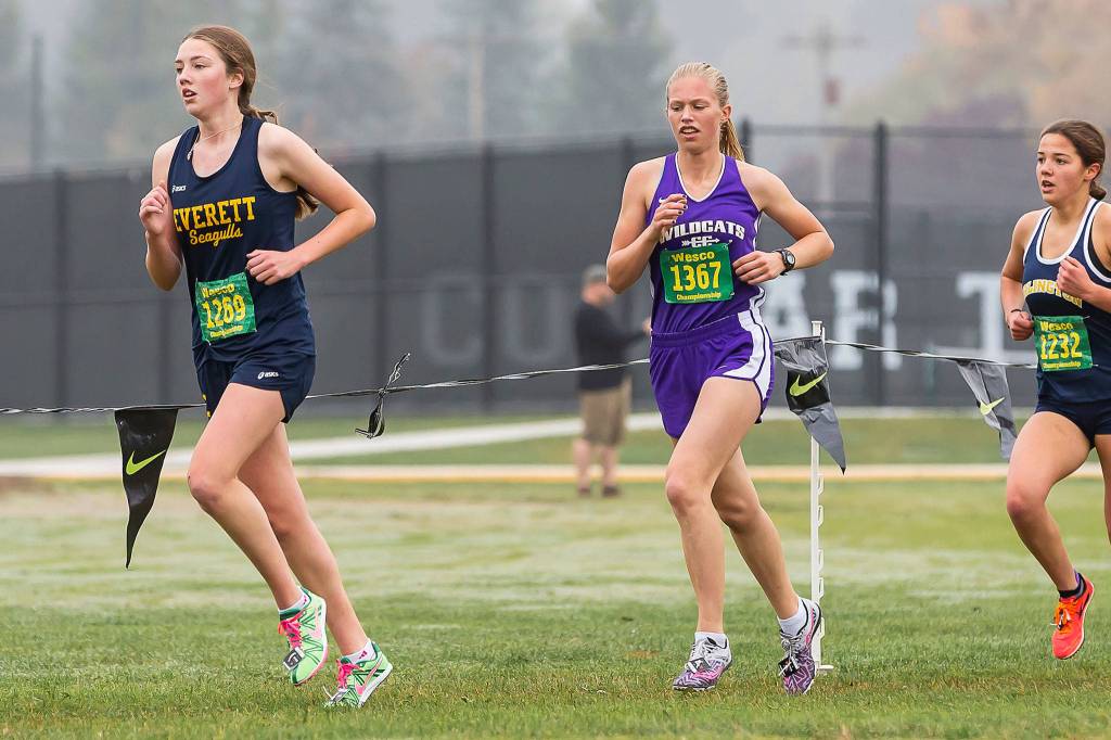 Oak Harbor runs in the middle in Wesco Championship meet / Cross ...