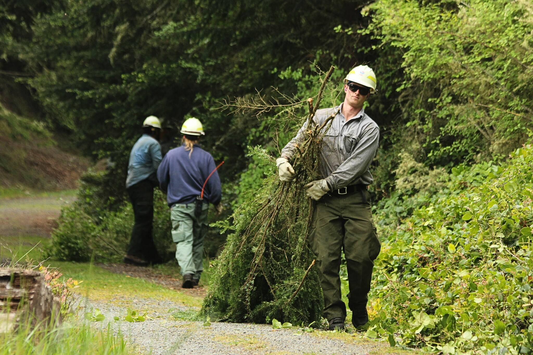 Firewise workdays help Whidbey neighborhoods reduce wildfire risk ...